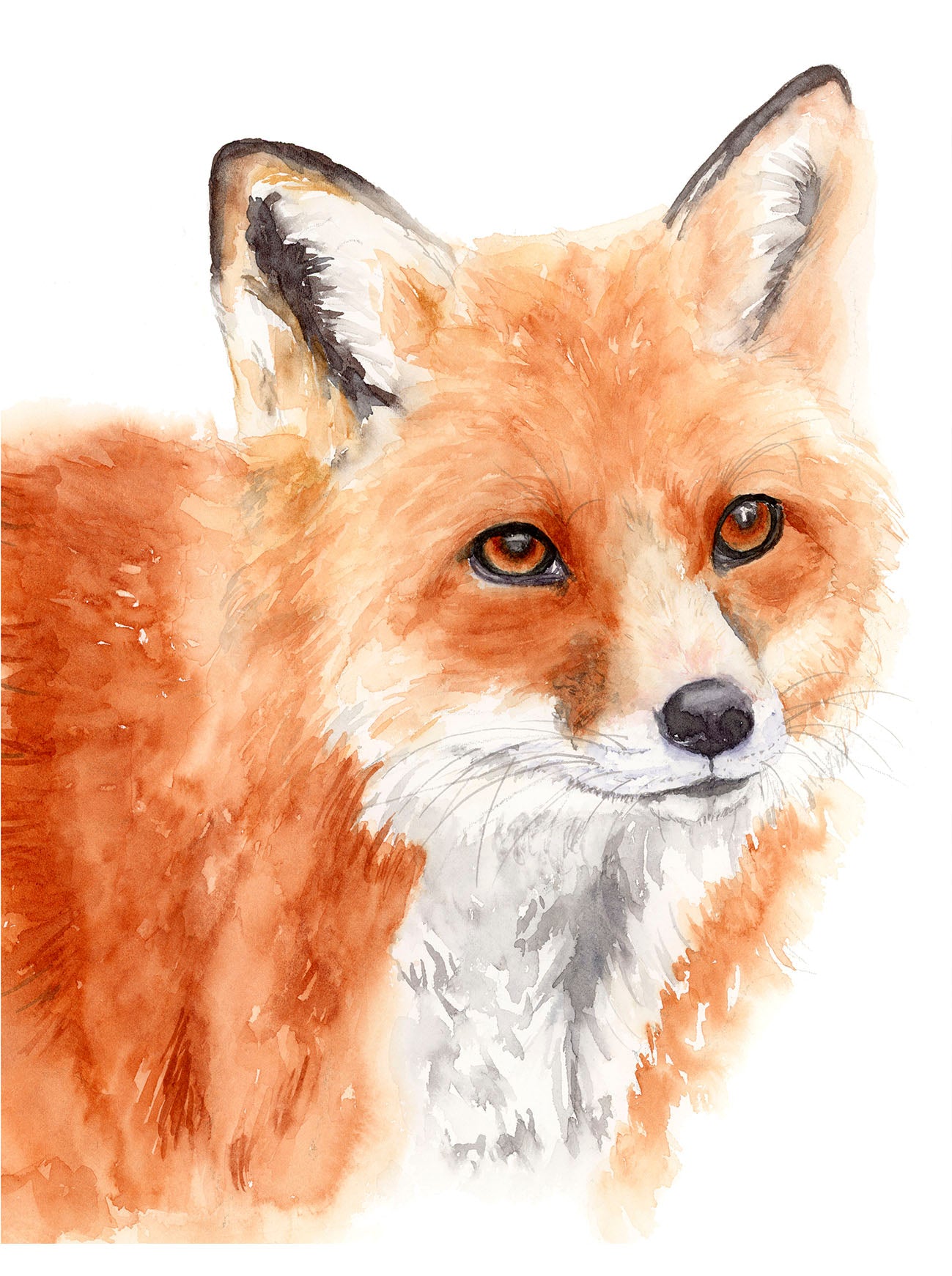 Animals – Indigo Wild Design Co