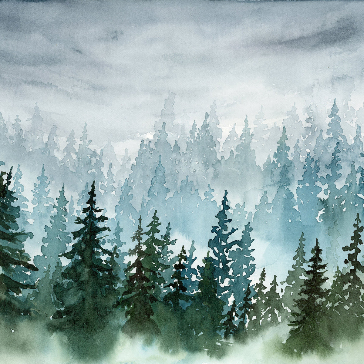 pine forest drawings